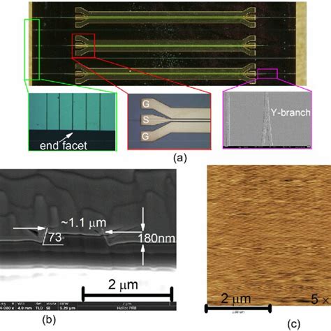 Pdf High Performance Mach Zehnder Modulator Based On Thin Film Lithium Niobate With Low