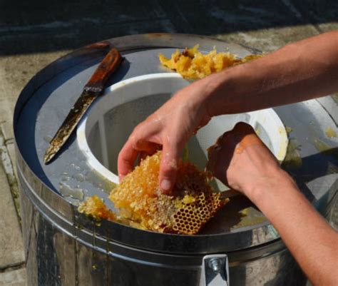 Best Honey Extractors For Beekeepers Features Prices And Comparisons