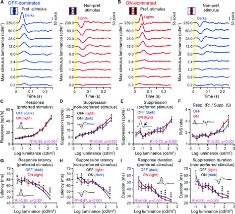 Increasing Retinal Illumination Makes Cortical Responses Stronger Download Scientific Diagram