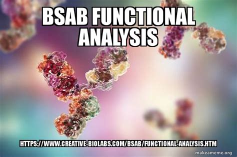 Bsab Functional Analysis Creative Bsab