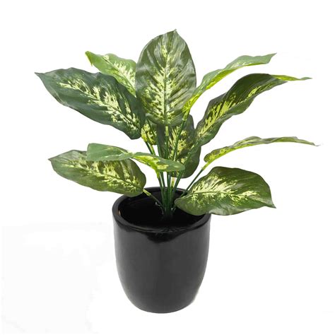 Artificial Dieffenbachia Bush Real Touch Leaves 40cm