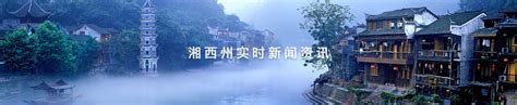 我的网站