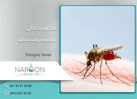 علائم تب دنگی چیست؟ هرآنچه لازم است بدانید