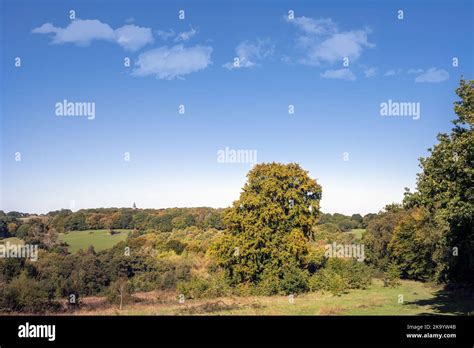 View Of The Countryside In Wealden In Autumn East Sussex England
