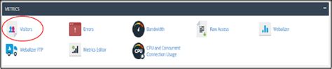 Cpanel Visitors