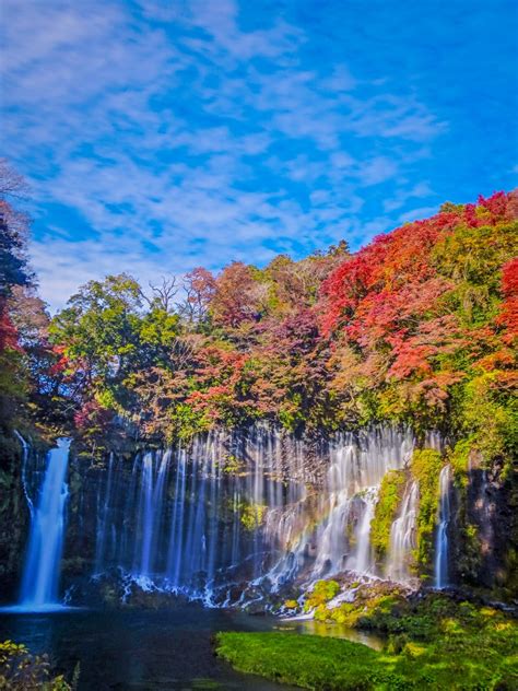 2023 11 26 紅葉and黄葉富士 ダイヤモンド 追っかけ記録