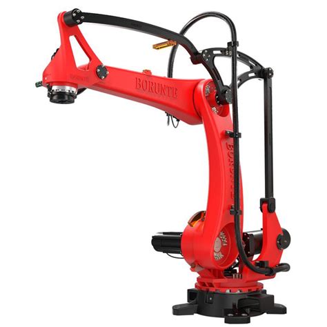 Disesuaikan Besar Memaletkan Robot Pengeluar Dalam China