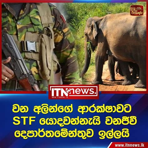 Green Task Force Facebook