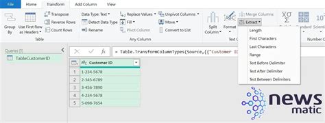 Cómo Extraer Cadenas Delimitadas En Power Query De Excel NEWSMATIC