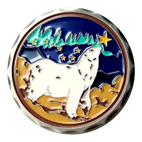 373 Isrg Challenge Coin 373rd Intelligence Surveillance And