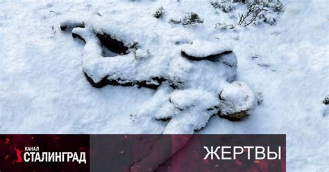 Гробовые.