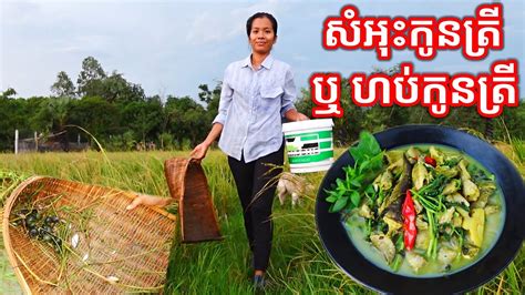 សំអុះកូនត្រី ឬ ហប់កូនត្រី Youtube