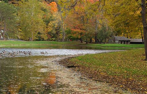 The Best Ohio Campgrounds For Fall Color