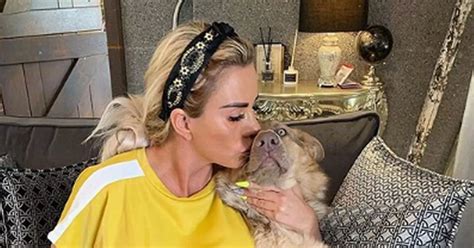 Katie Price To Sell Puppies For £2k Each Because They Poo All Over