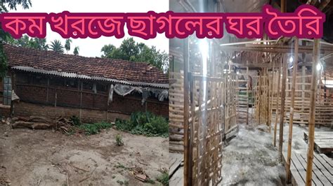 কম খরচে ছাগলের ঘর তৈরি করে কমার্শিয়াল হিসেবে ছাগল পালন করুন। Youtube