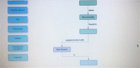 Solved Please Move The Correct Terms Into Their