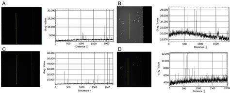 Research On Key Technologies Of Microarray Chips For Detecting Drug Resistant Genes In