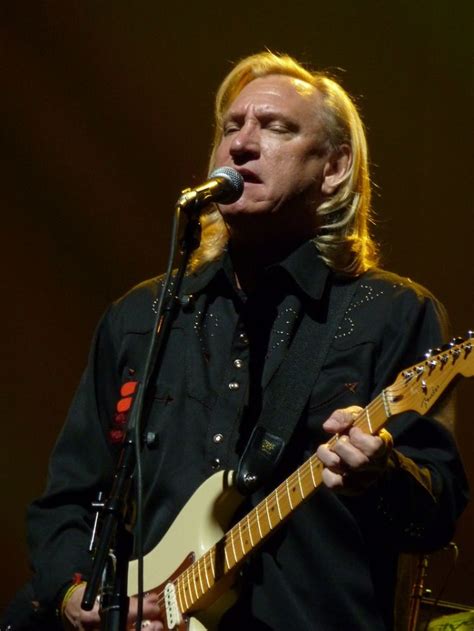 Joe Walsh Joe Walsh Eagles Eagles Band Cover Band