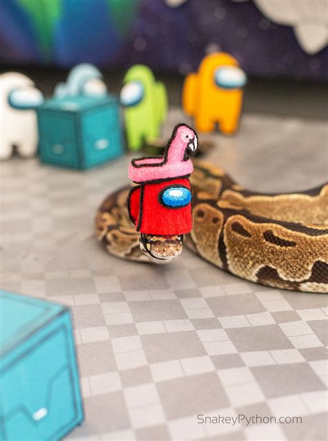 Cute Ball Python With Hat