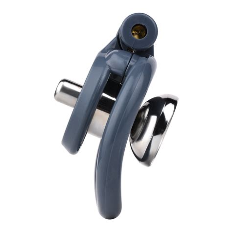 Urethral Inverted Chastity Cage With Detachable Anal Plug Negative Cock