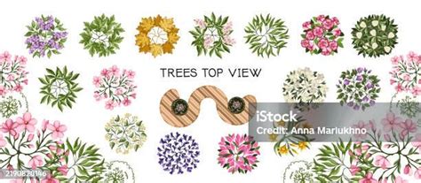 봄 꽃 나무와 벤치 건축 평면도 측근 디자인 조경 설계 계획을 위한 요소 다양한 꽃 나무 관목 및 관목 벡터 일러스트 레이 션 건축가에 대한 스톡 벡터 아트 및 기타 이미지