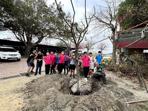 影／重生的象徵 志工帶領學校師生合力搶救校園迎賓樹 觀傳媒