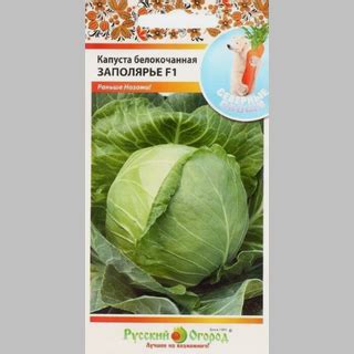 Купить семена Капуста б/к Заполярье F1 (С.О.) (50шт) в интернет ...