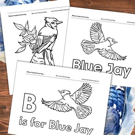 Ten Frames Nature Inspired Learning