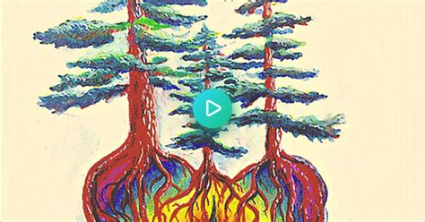 Evergreen Album On Imgur