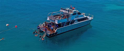 그레이트 배리어 리프 스노클링 및 초보 스쿠버다이빙 Ocean Freedom 줌줌투어 호주 케언즈 그레이트 배리어 리프 스노클링 및 초보 스쿠버다이빙 Ocean Freedom 줌줌투어 호주 케언즈