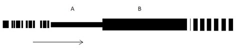 string 1 is connected with string 2 the mass per unit class 11 physics jee main