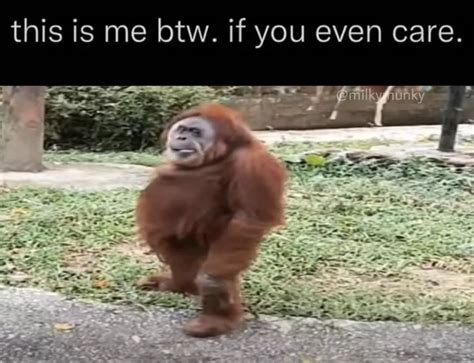Hank Sex S R691