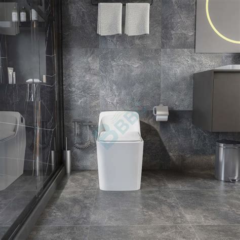 Square Siphon One Piece Toilet Bbbc