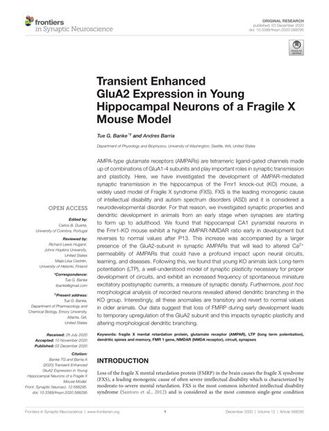 Pdf Transient Enhanced Glua2 Expression In Young Hippocampal Neurons
