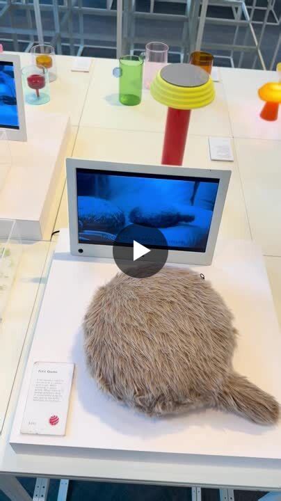 Qoobo Robot Wins Red Dot Design Award Jan Flac Posted On The Topic Linkedin