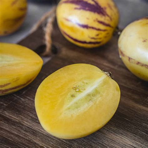 Pepino Pepino