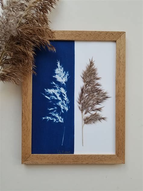 Herbier Cyanotype Pampa Un 8 Aout Création Française Abstrait