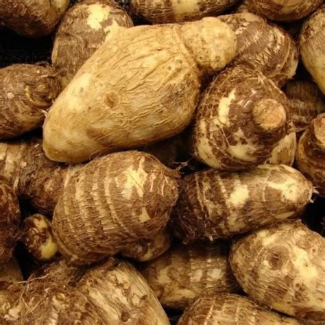 Pituca O Malanga Parafinada ™ ♻️ Alimentos Peruanos