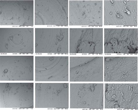 Sem Micrographs Of Ti64 Alloy Fretted Against Steel Ball At A 50 Rpm