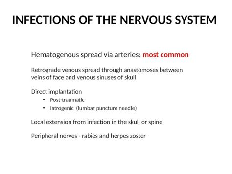 Pptx Infections Of The Nervous System Hematogenous Spread Via Arteries Most Common Retrograde