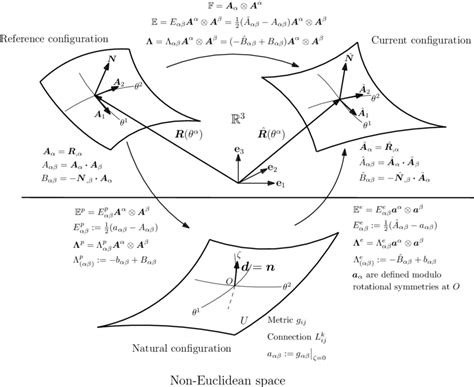 1 Kinematics Of The Elastic Plastic Decomposition Of The Total Download Scientific Diagram