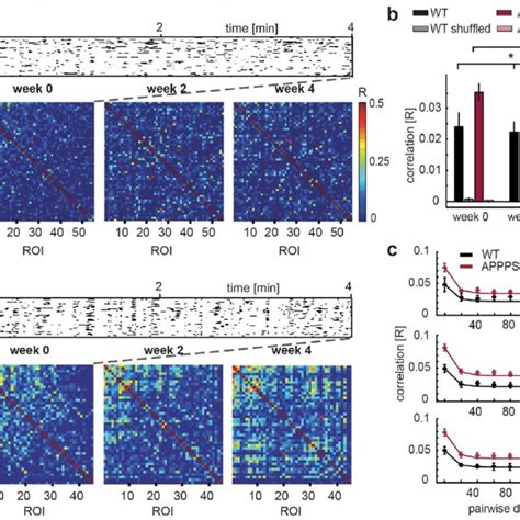 Increased Pairwise Activity Correlation In Appps1 Transgenic Mice A Download Scientific
