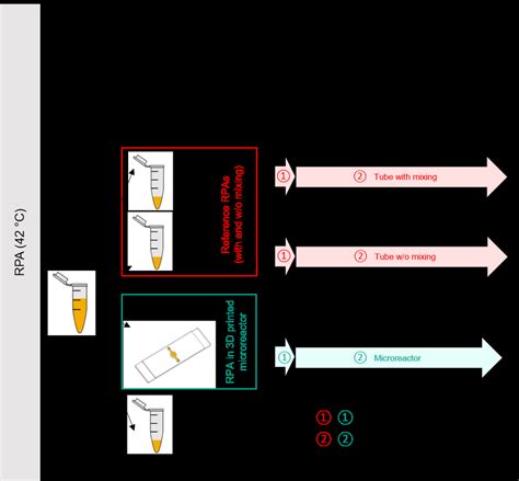 Distribution And Incubationmixing Scheme For Rtrpa Reactions Source