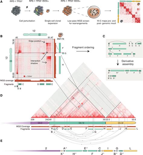 Somatic Structural Variant Formation Is Guided By And Influences Genome Architecture