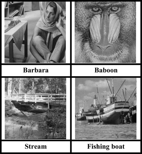 Grayscale Images Used In The Proposed Technique Download Scientific Diagram