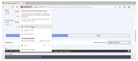 importing epicor software data into excel using rest services
