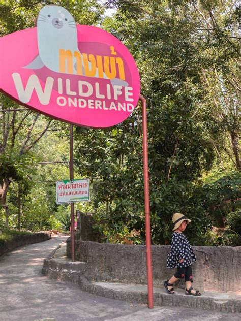 【遊芭達雅】綠山野生動物園，震撼大象游泳、近距離餵企鵝、長頸鹿、犀牛～曼谷近郊野生動物園 Aiko。手感溫度．愛生活