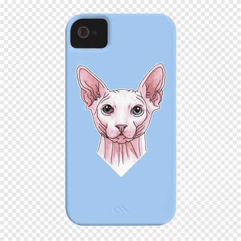 Sphynx Cat Kitten Korat Domestic Short Haired Cat Tabby Cat Kitten