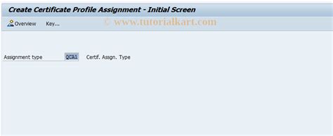 QC11 SAP Tcode Create Certificate Profile Assignment