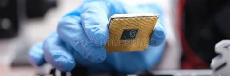 Repairman Installing Computer Processor Into Motherboard Closeup Stock